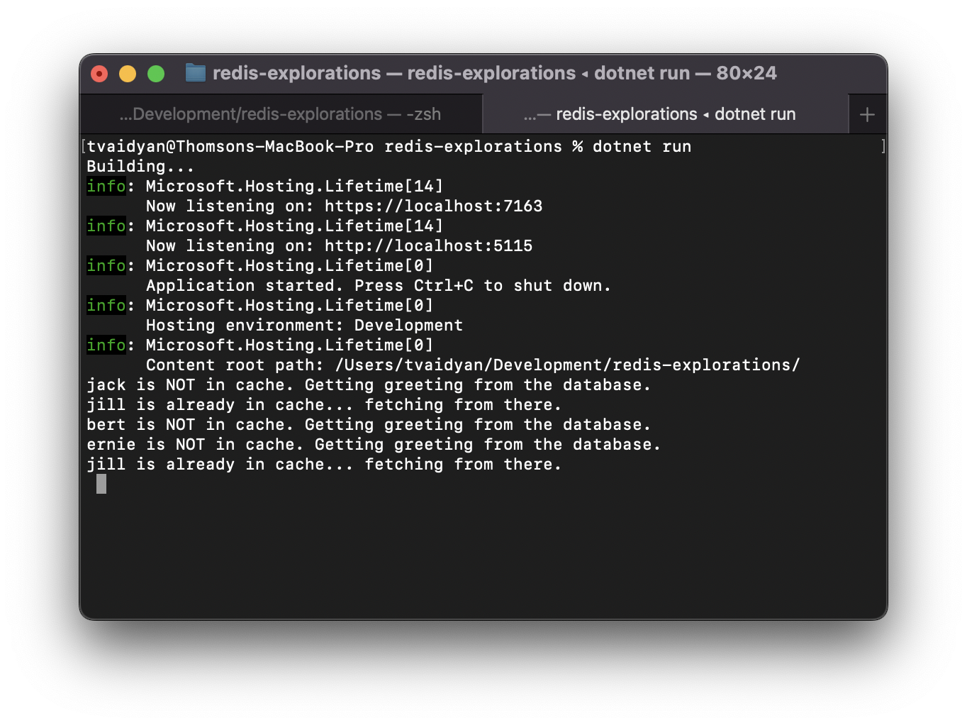 Redis in ASP.NET – An Introduction – Tom Vaidyan